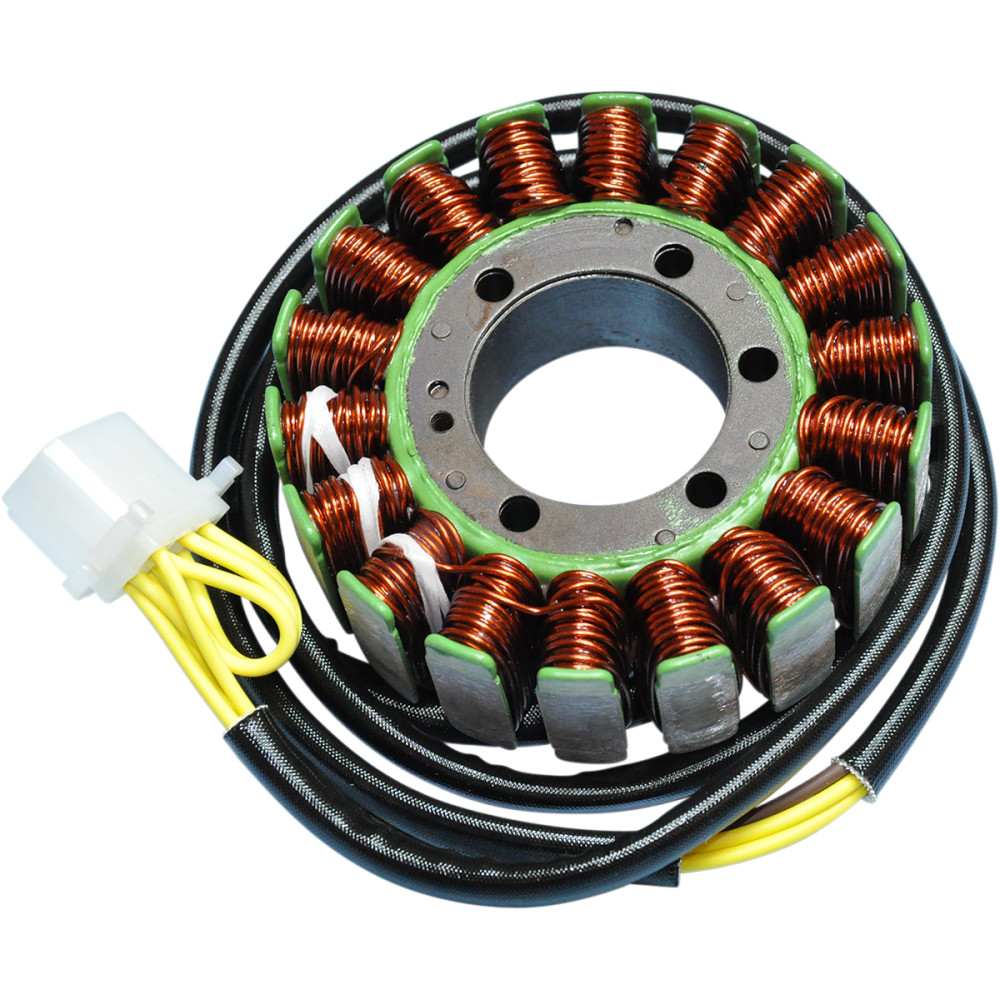 Ricks Motorsport Electric - 21-559 - Stator for sale online | eBay